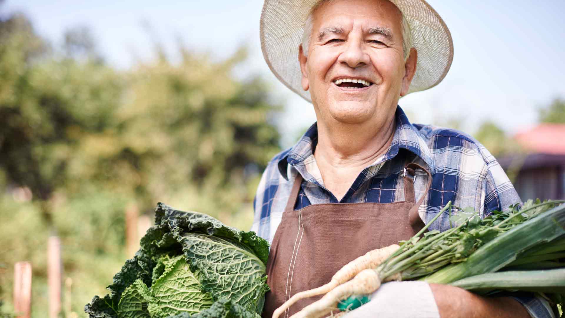 Agricultura extensiva en Canarias - AGROINGENIA